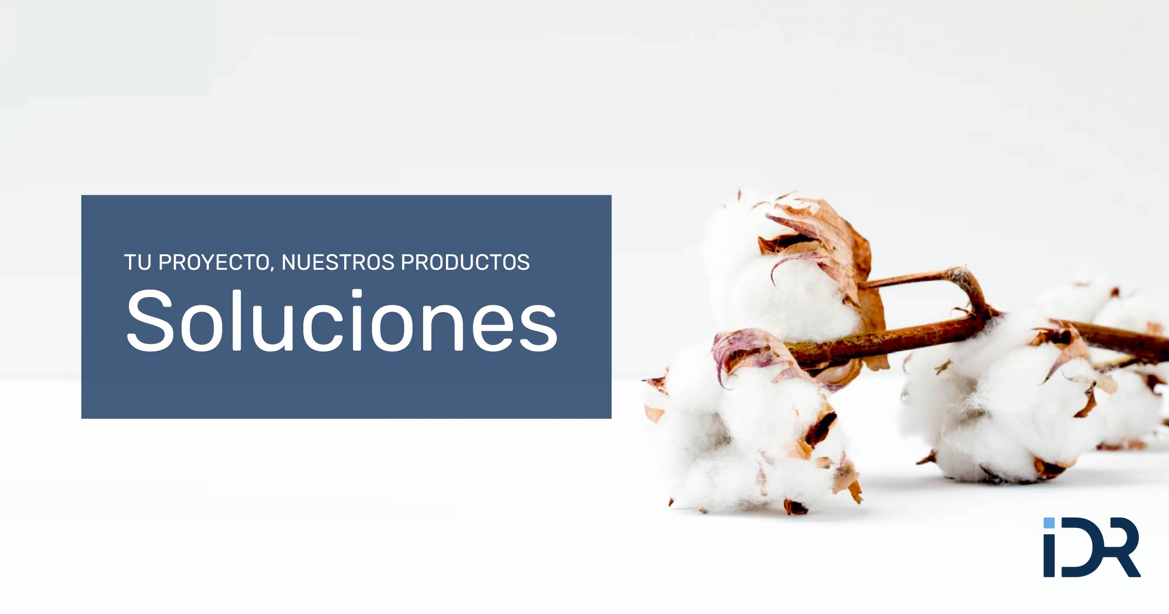 Solutions | IDR